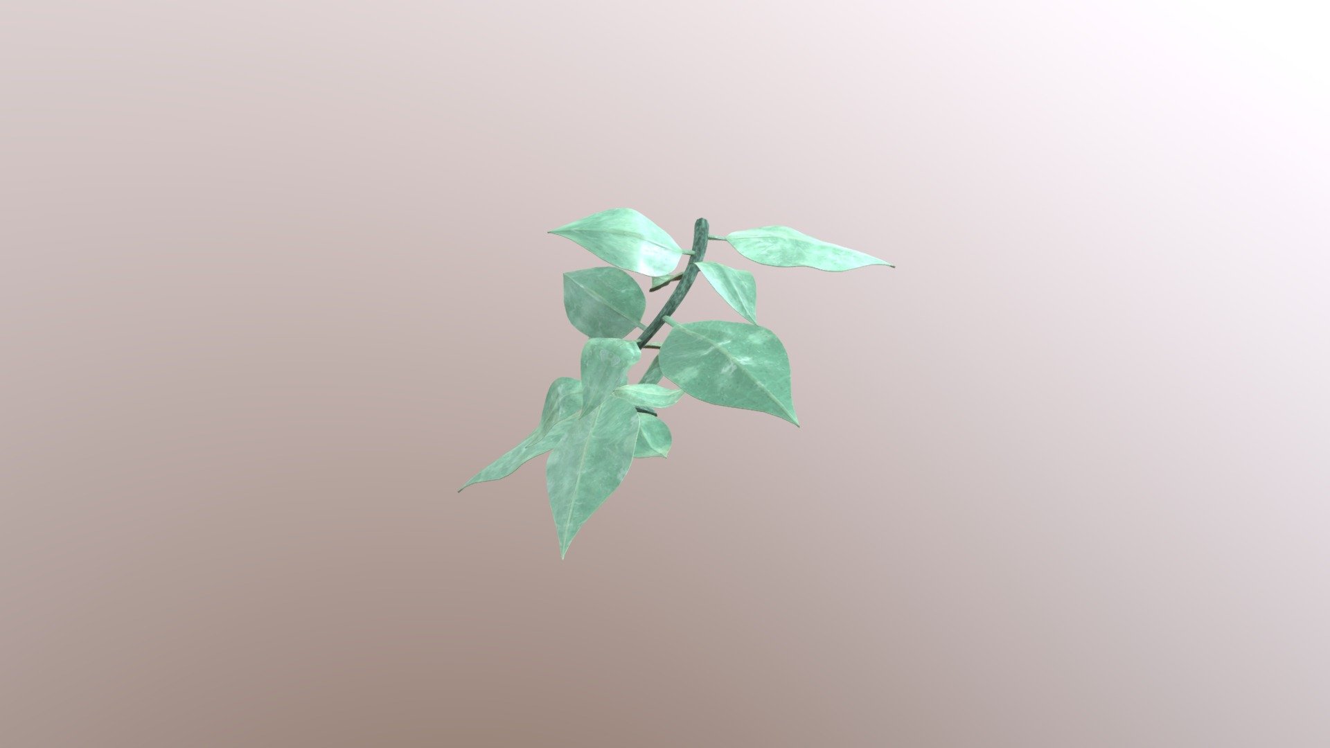 Plant_basic - 3D model by Josebfuentes [c8d3ea7] - Sketchfab
