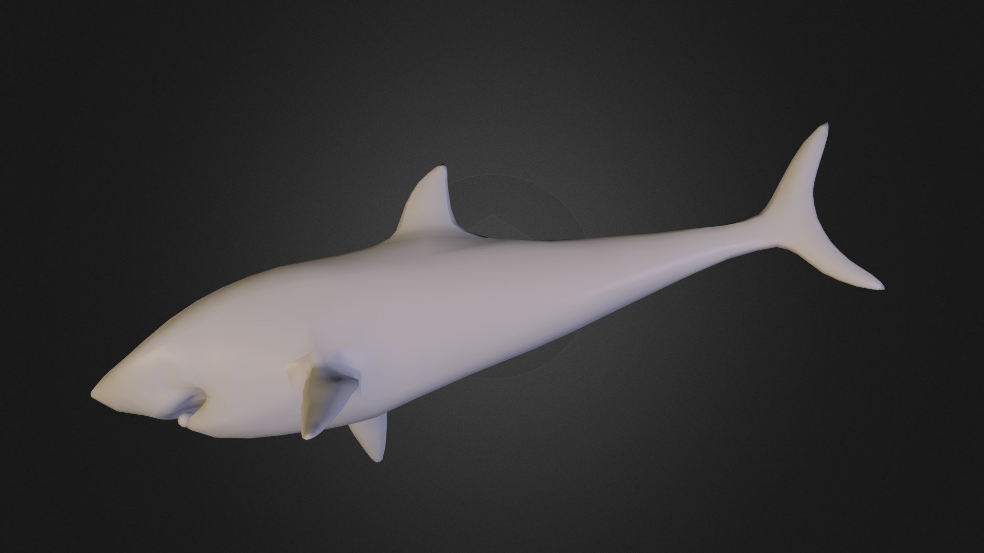 Shark - 3D model by crazyfingers619 [c8d4e13] - Sketchfab
