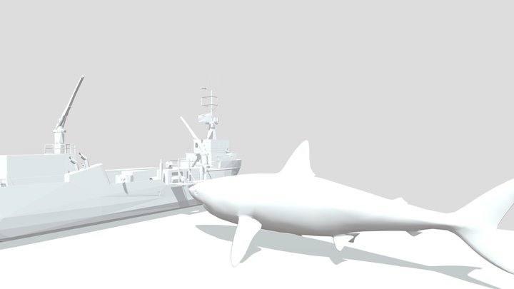 Megalodon 3D models - Sketchfab