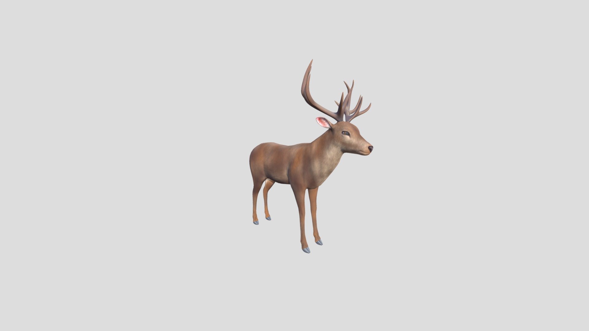 Deer - 3D model by reskords [c8da9a1] - Sketchfab