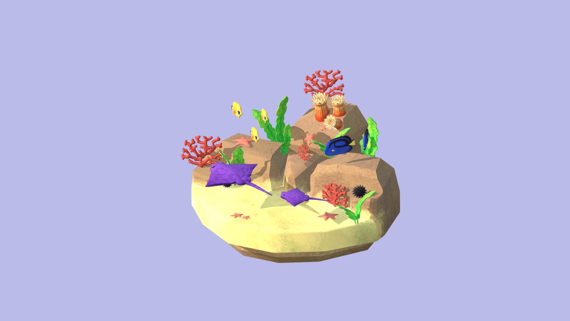 Sea Life Model - 3D model by smcopeman [c8e1482] - Sketchfab