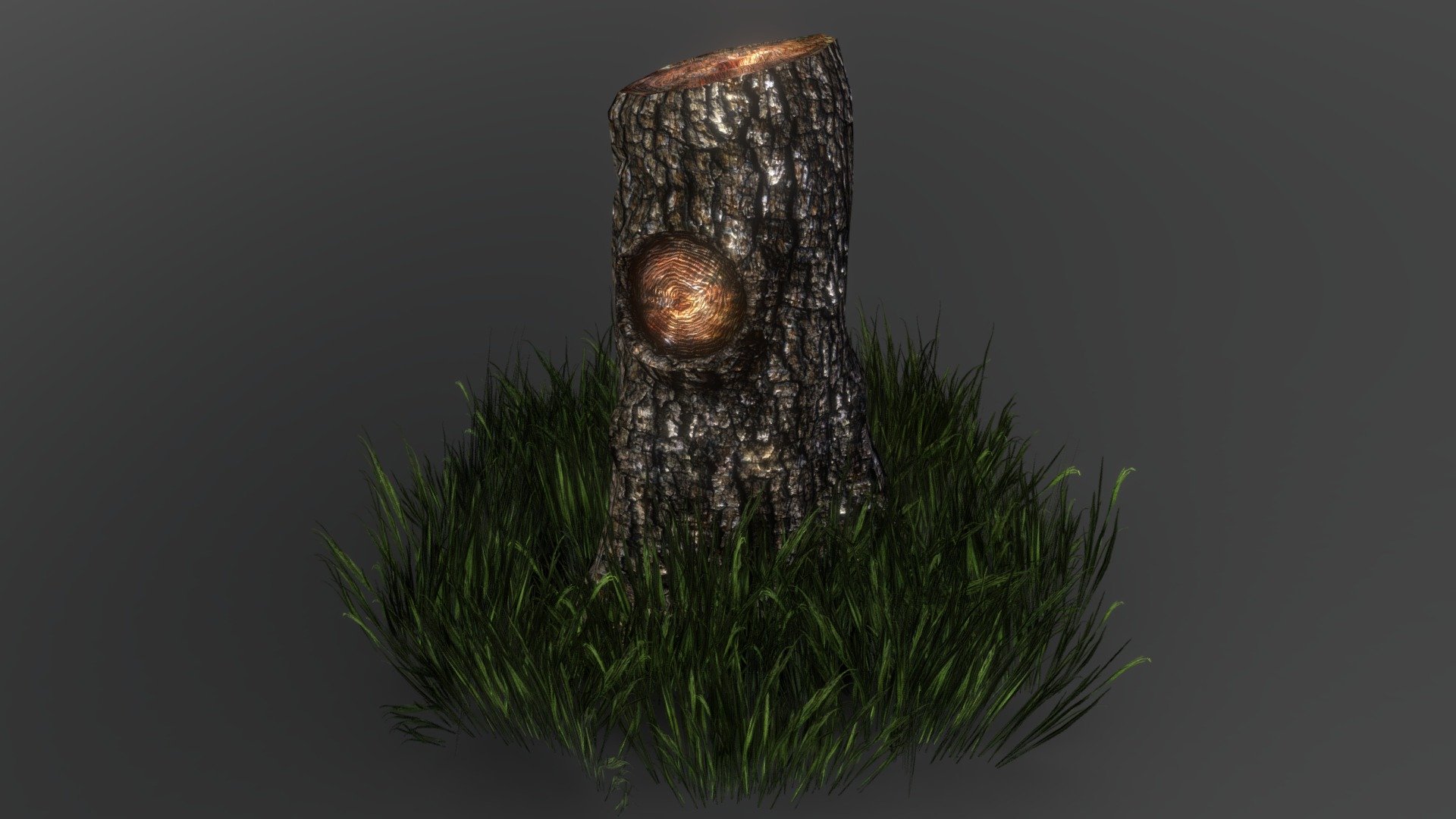 Tree Trunk - 3D model by Somersby [c8e8f02] - Sketchfab