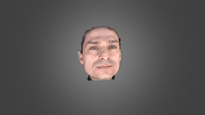 3d-face-recognition 3D models - Sketchfab