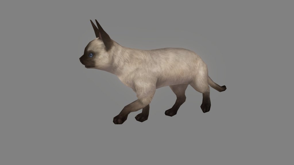 Cat Walk - 3D model by PinkCloud Studio (@pinkcloudstudio) [c8fc312 ...