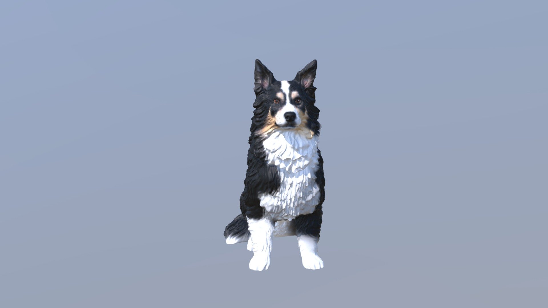 1810008- Sky-X - 3D model by Arty Lobster - Pet Sculptures Made Simple ...