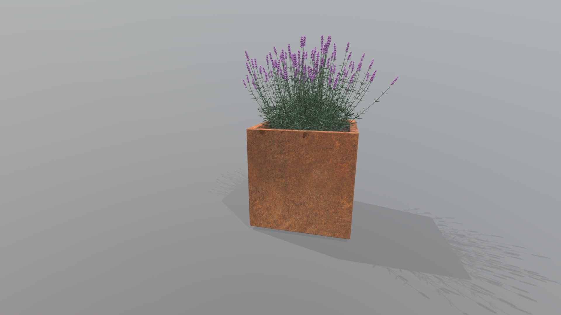 corten_test - 3D model by motion-id [c90f184] - Sketchfab
