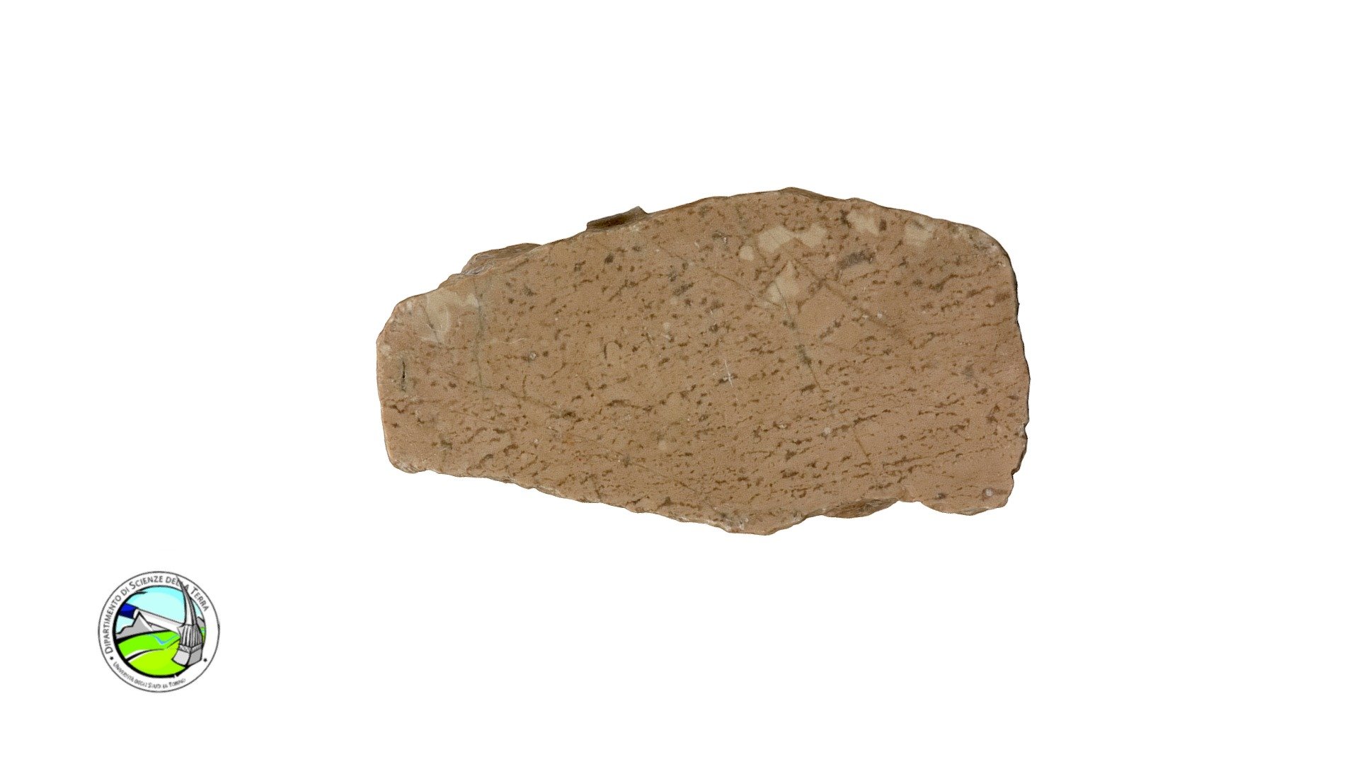 Mudstone con cavità da disseccamento - 3D model by Dipartimento di ...
