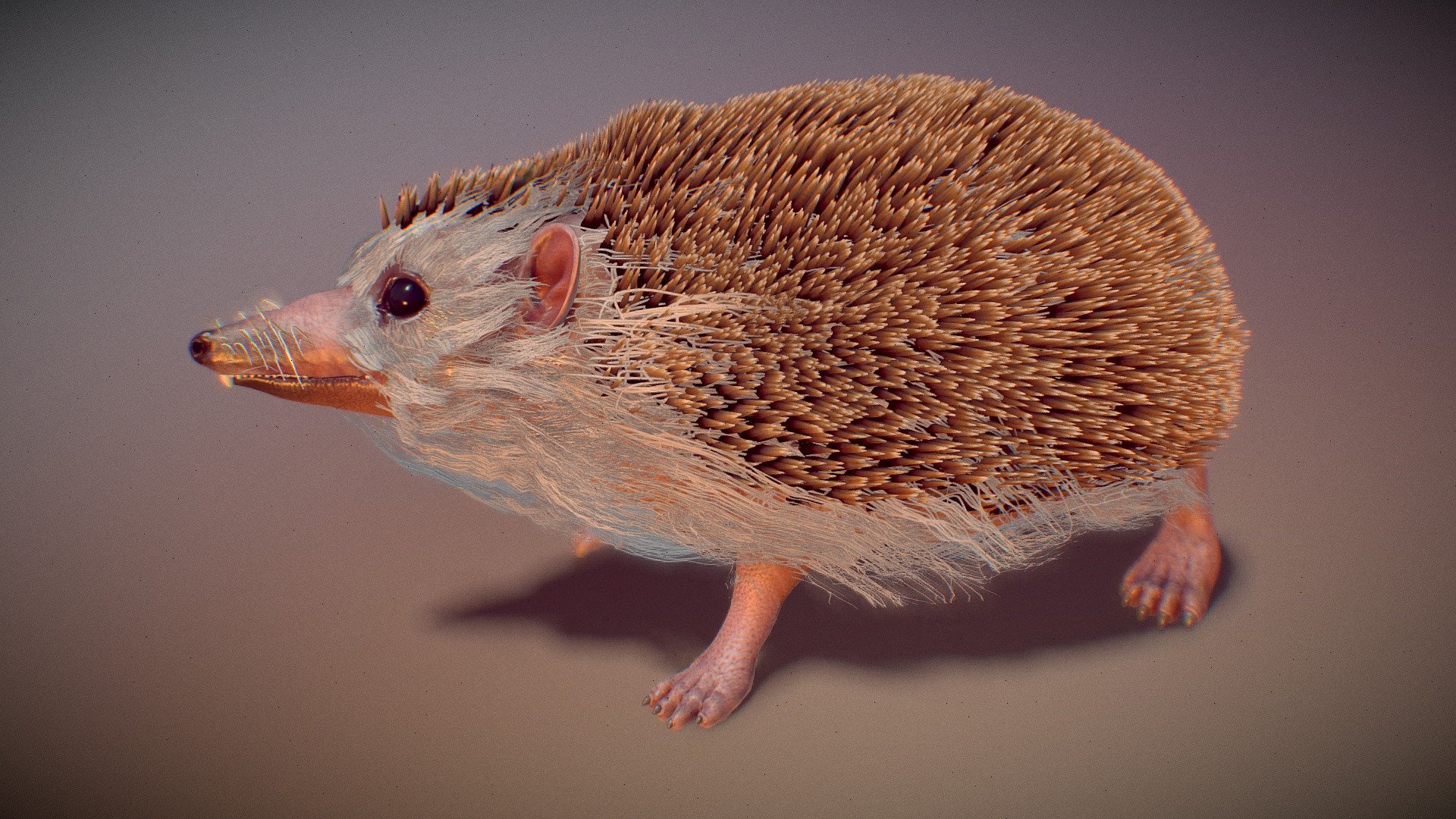 Hedgehog - 3D model by David Glynch (@yaveselyigolovastic) [c916c86 ...