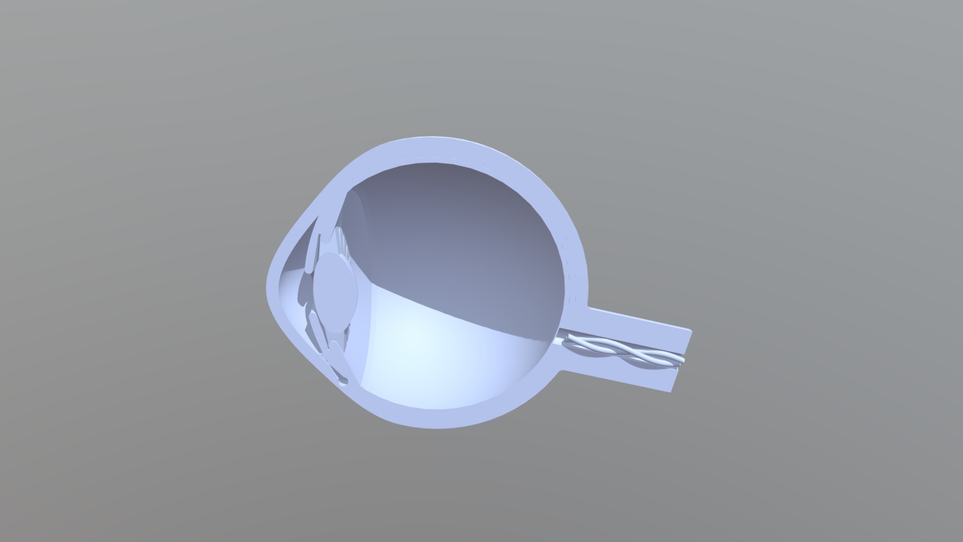 Open and Closed angle Glaucoma - 3D model by Michaeltriggs [c91a034 ...