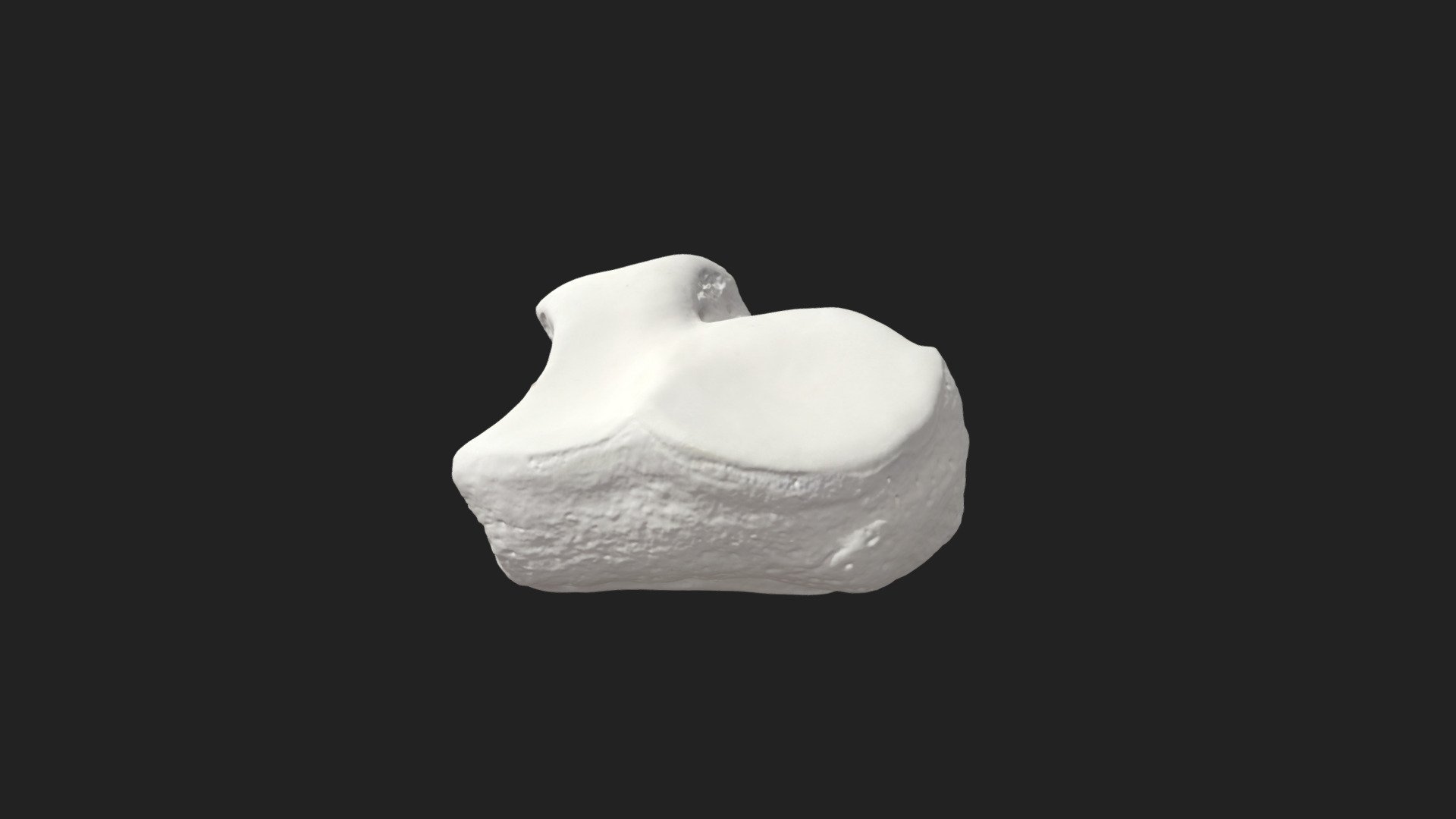 3rd carpal bone (os carpale tertium) pony - Download Free 3D model by ...