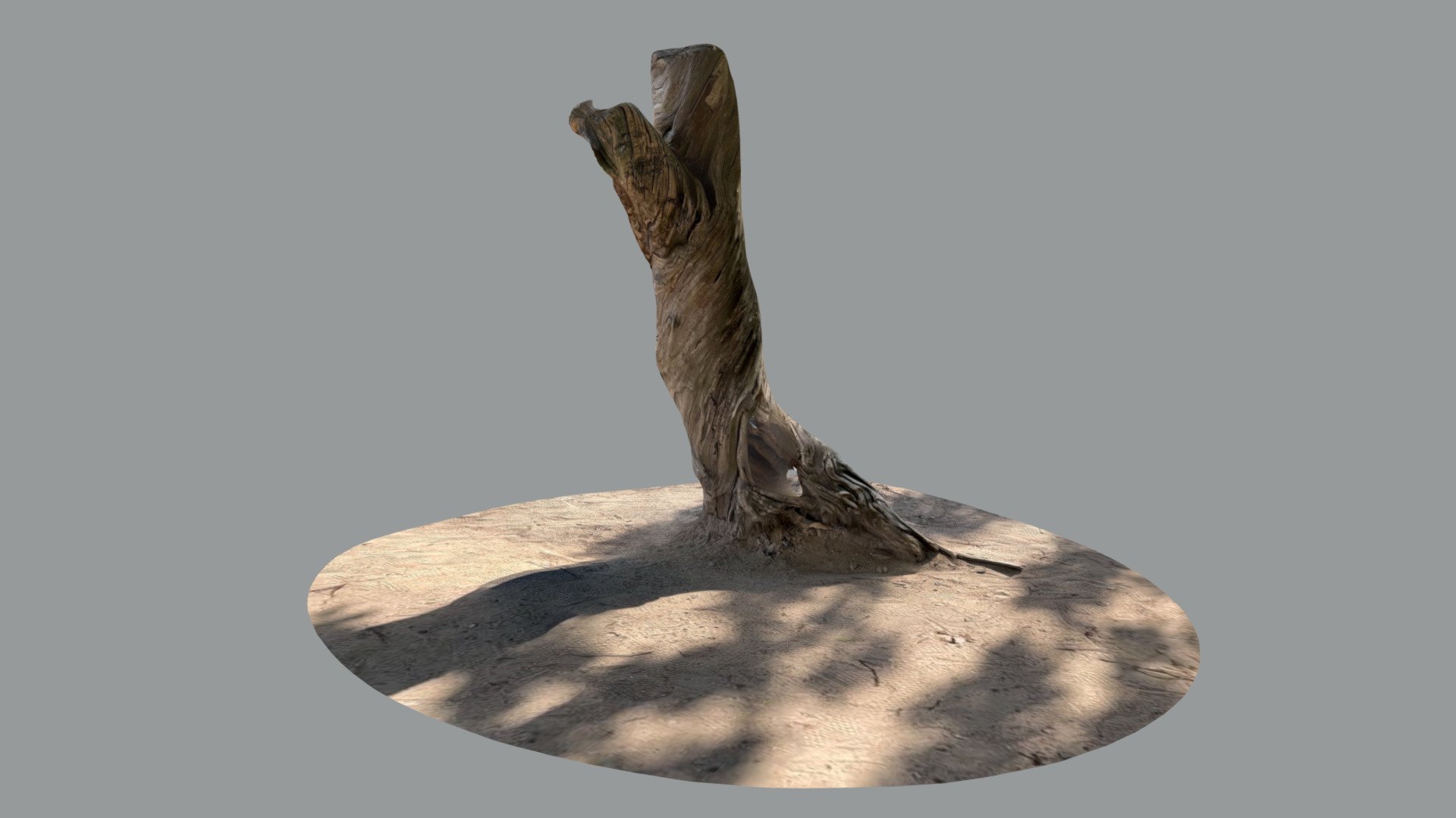 Tree stump - Download Free 3D model by aptass [c921442] - Sketchfab