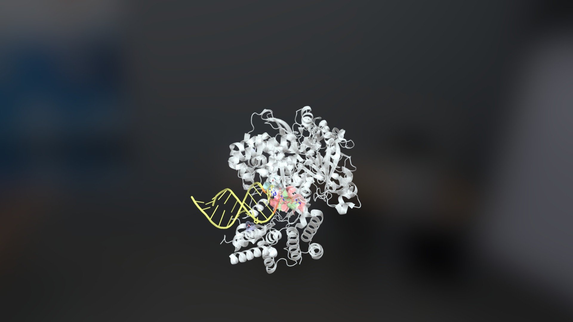 Remdesivir & SARs-CoV-2 RdRp interaction - 3D model by lizjcg [c922050 ...