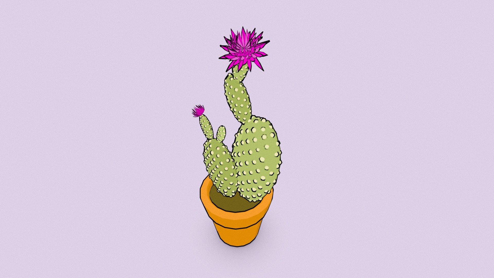 cactus - 3D model by icvetlan [c922538] - Sketchfab