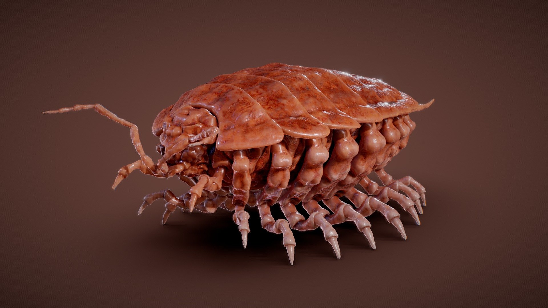 3December2021.17 - "Bug" - 3D model by VVCephei (@vvc) [c9228b5 ...