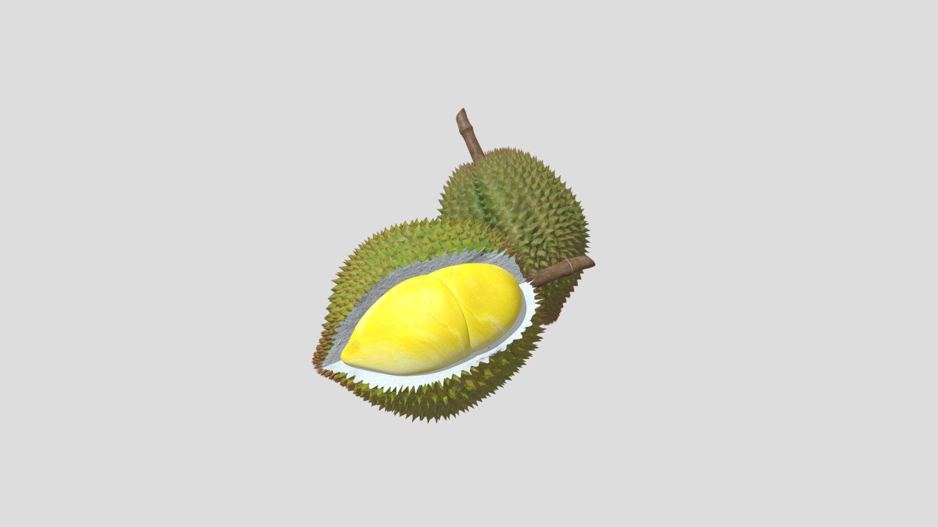 Durian - 3D model by cptoey [c92667c] - Sketchfab