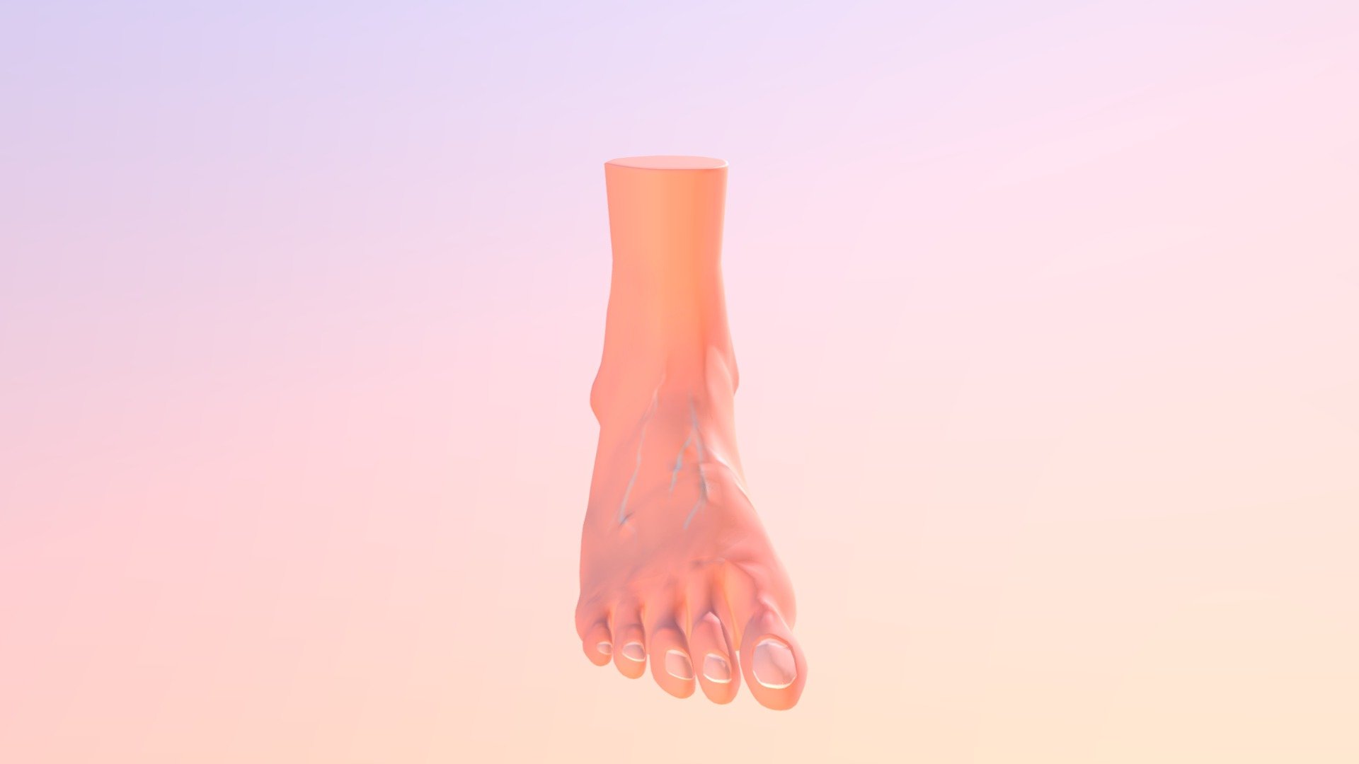 Foot Compress - 3D model by fehinfei [c927fa3] - Sketchfab