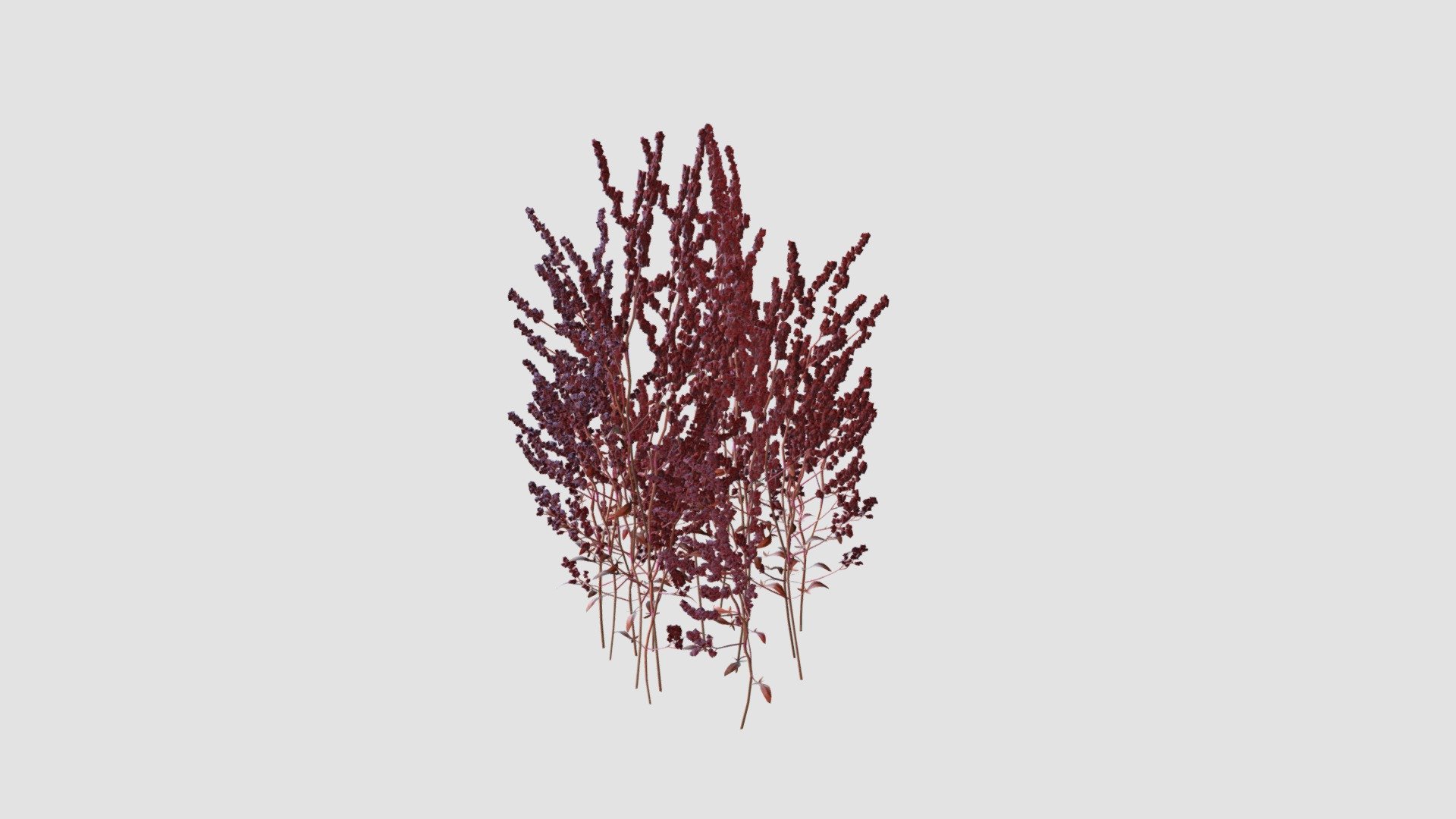 simple grass - Buy Royalty Free 3D model by Evermotion [c92ccff ...