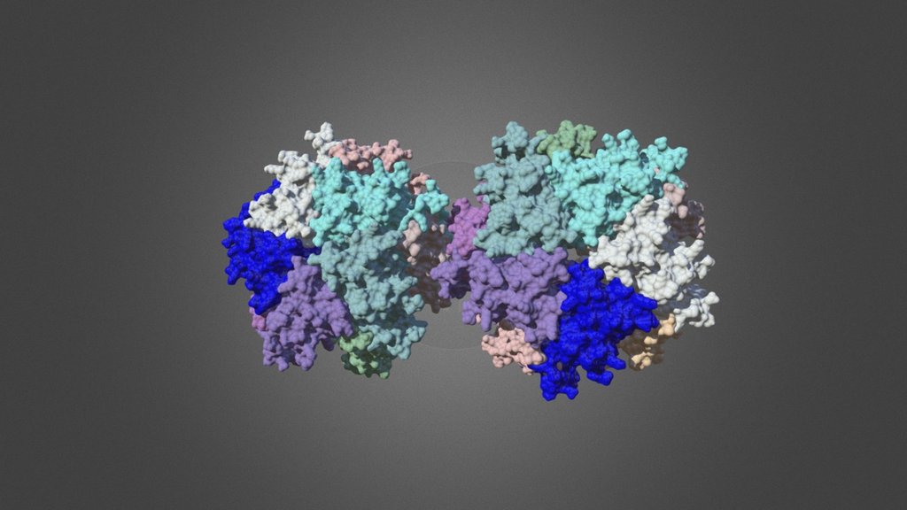 GTP CYCLOHYDROLASE I: PDB 1GTP - 3D model by Interactive 3D Data ...