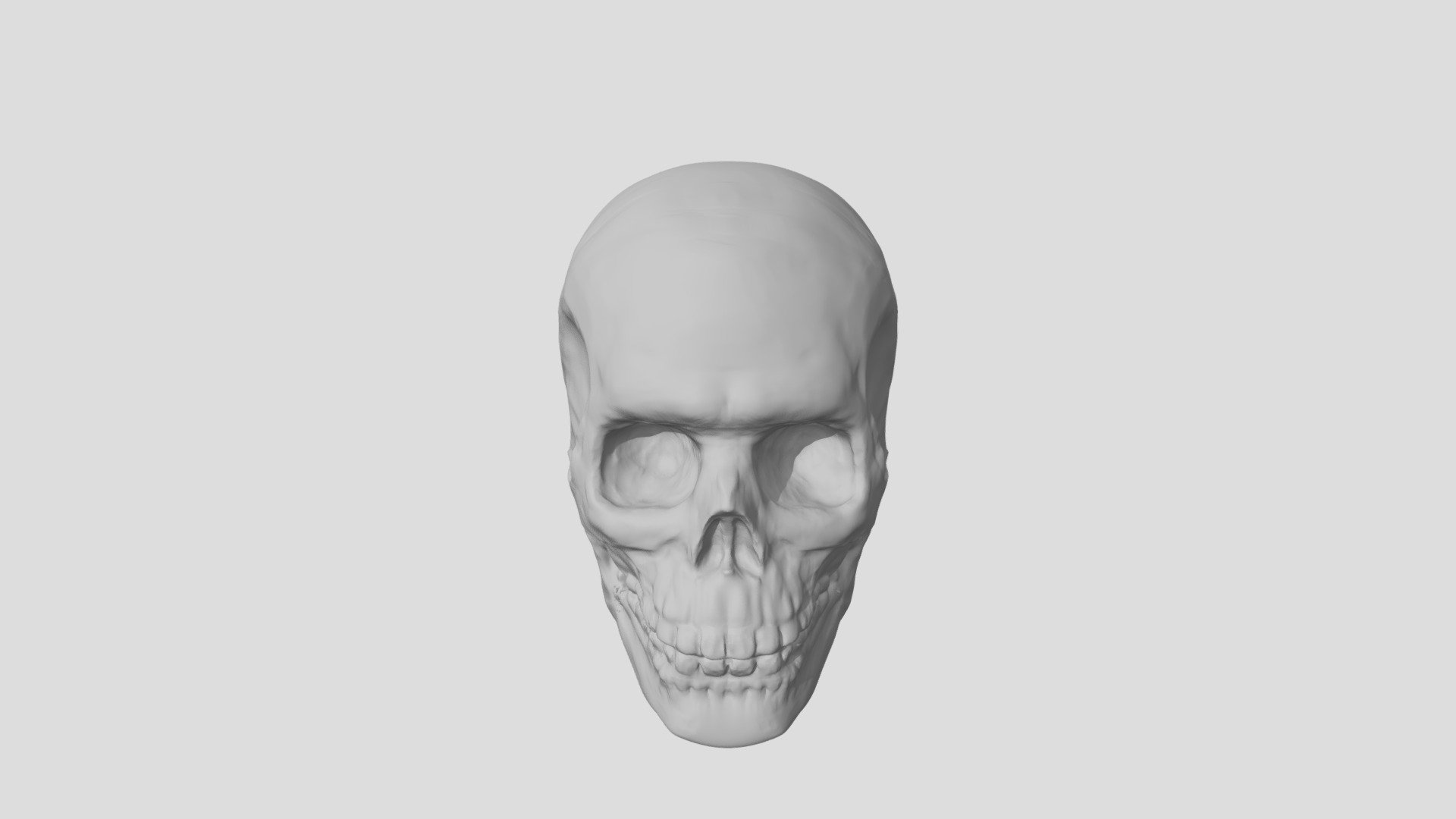 Skull - 3D model by sealko [c930e8b] - Sketchfab