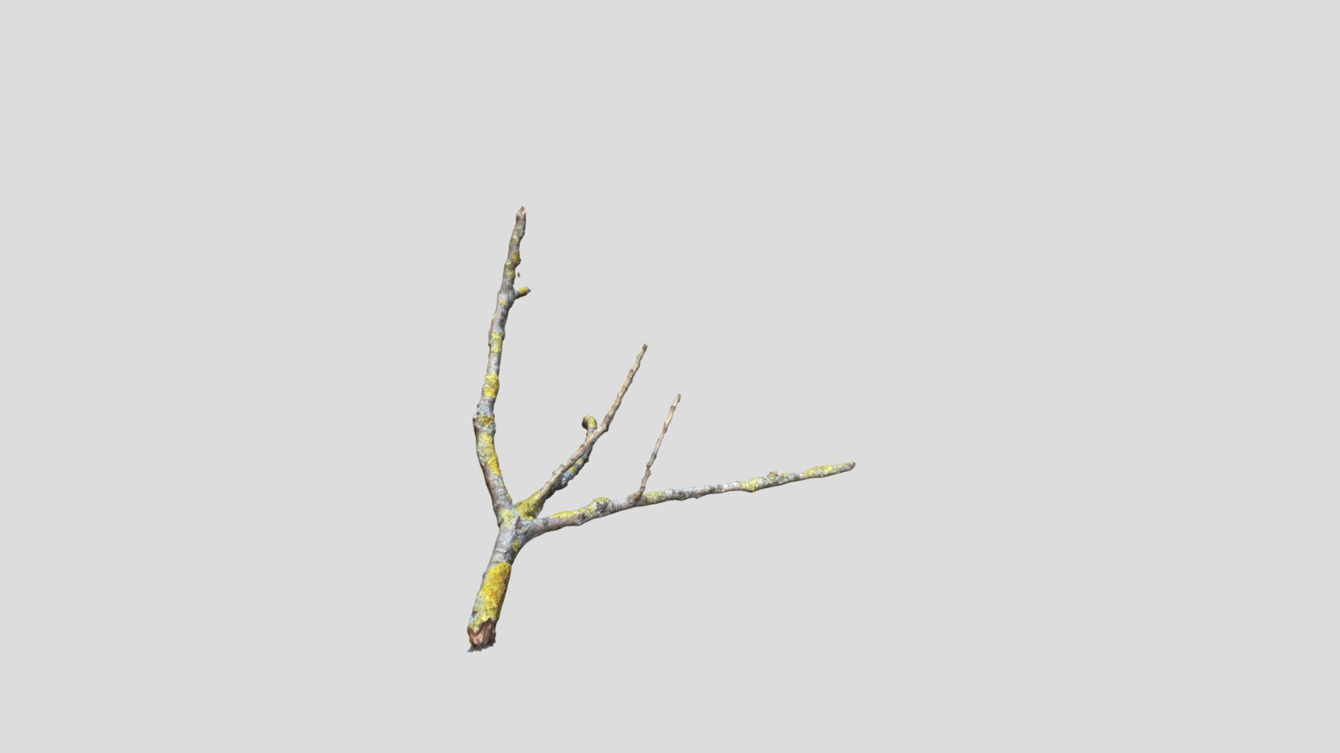 Stock/Ast - 3D model by Lars (@LarsGe) [c933861] - Sketchfab