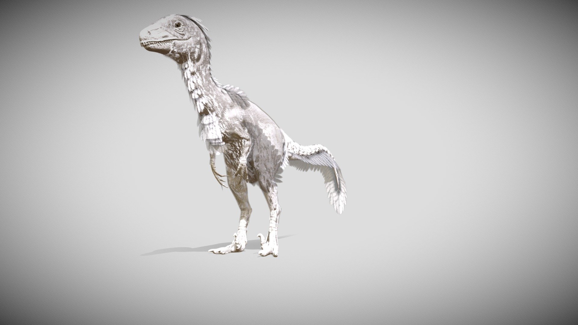 UtahRaptor - 3D model by Florisvaldo.A (@Florisvaldor) [c936754 ...