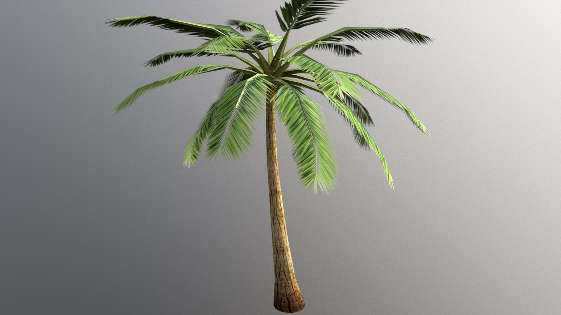 Palm Tree - 3D model by zogorman [c943ae8] - Sketchfab