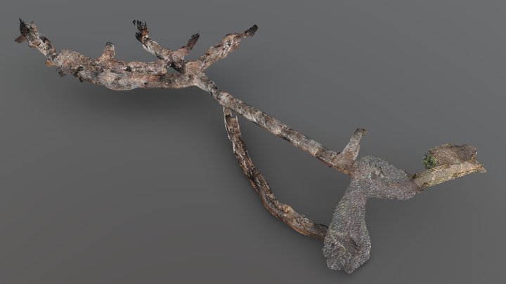 Gold_mine 3D models - Sketchfab