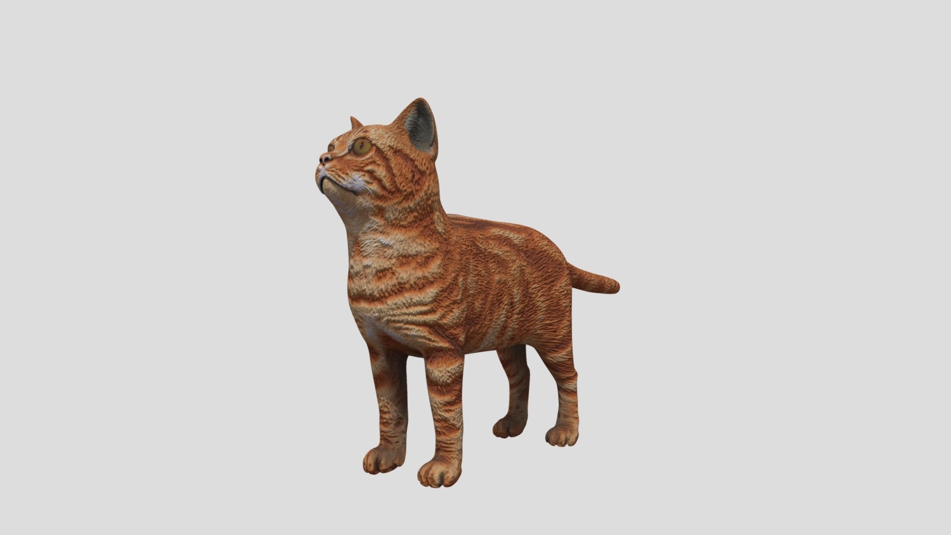 Cat - Download Free 3D model by lynxcat255678 [c94cbd4] - Sketchfab