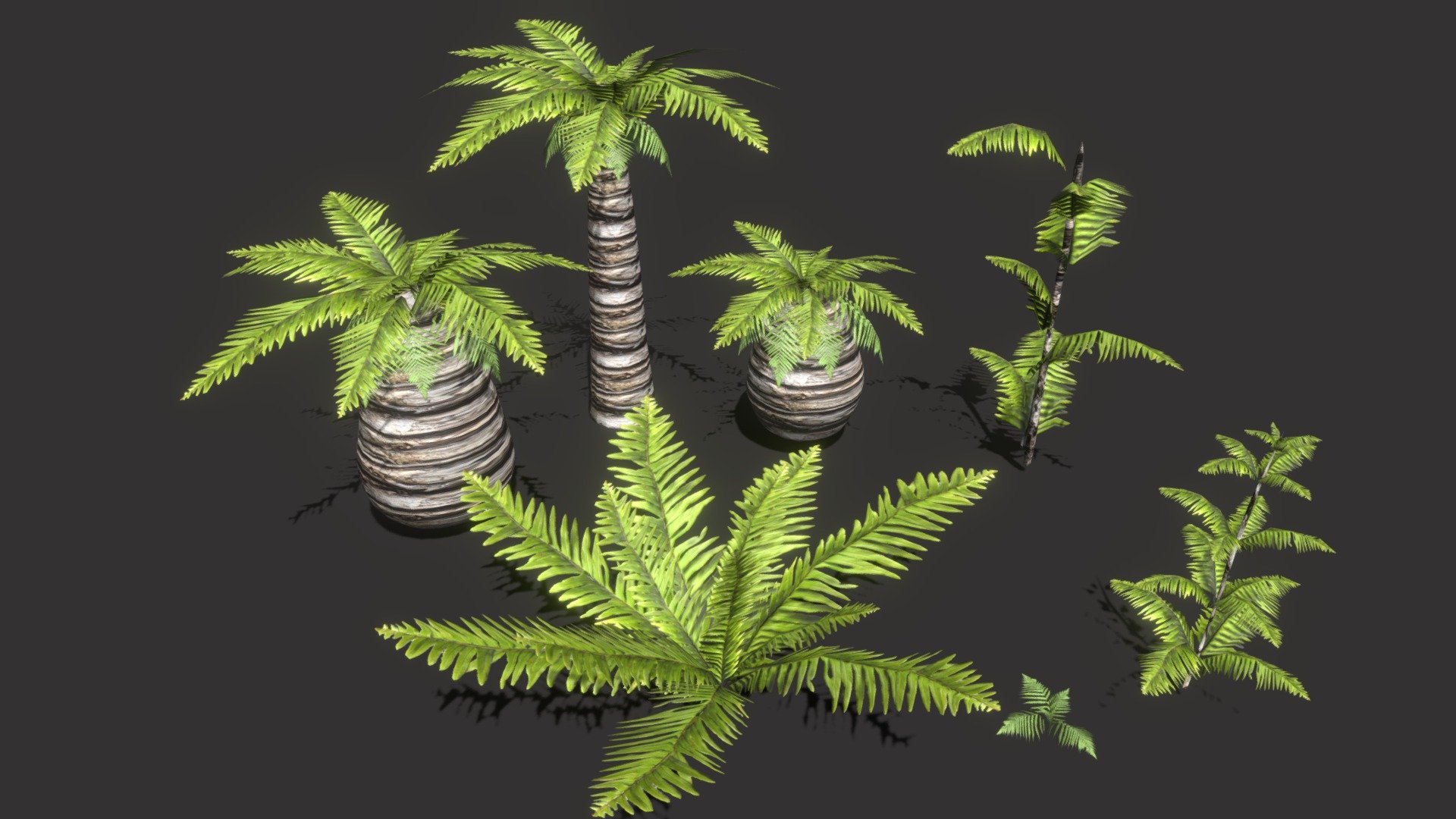 Set of plant tropic Palm - 3D model by Ybreibyf [c94df4a] - Sketchfab