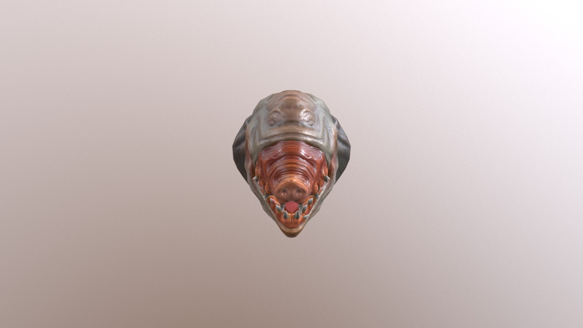 Nosalis Head - 3D model by isamel [c94f297] - Sketchfab