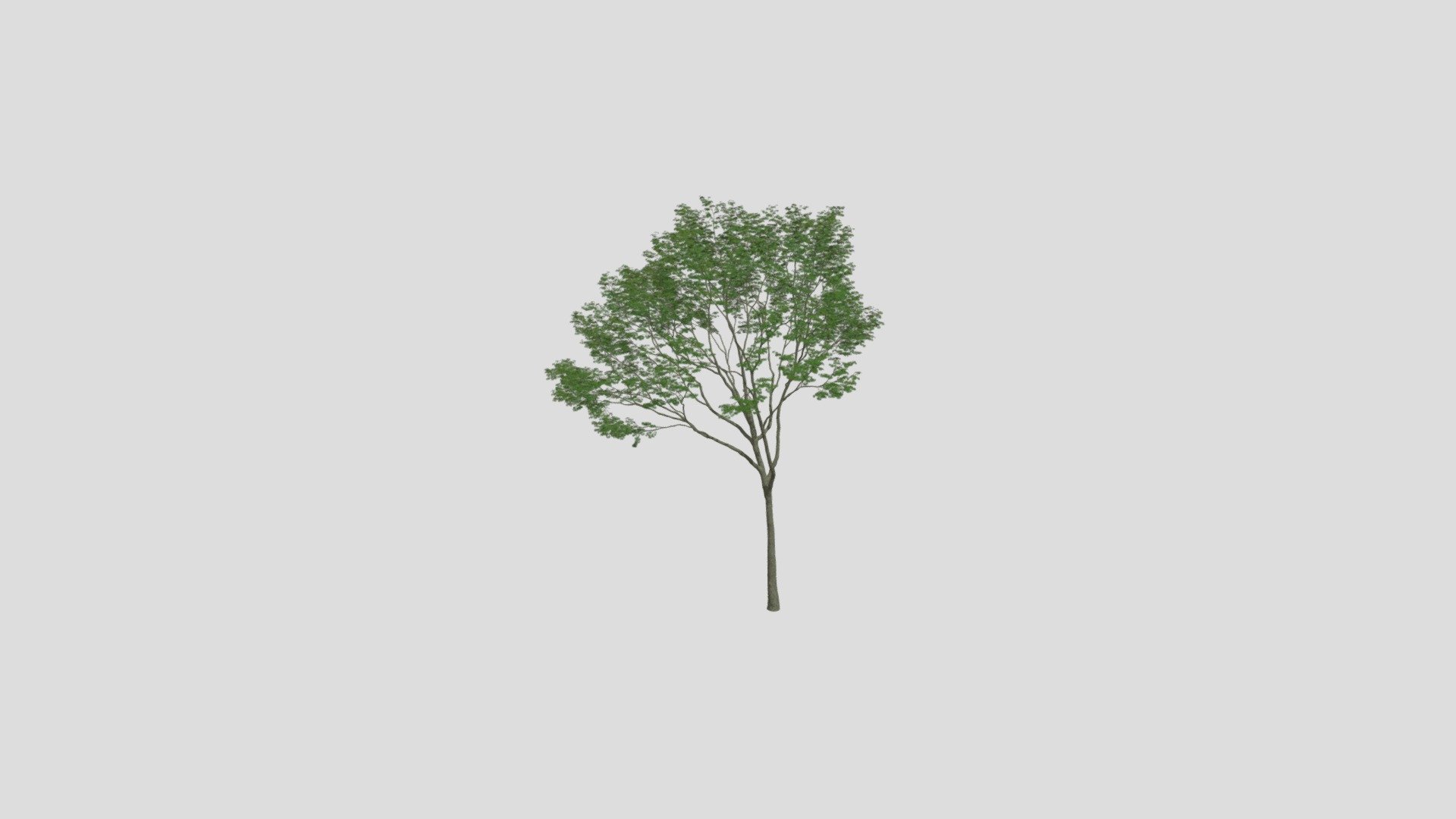 tree 18 AM207 Archmodel - Buy Royalty Free 3D model by Evermotion ...