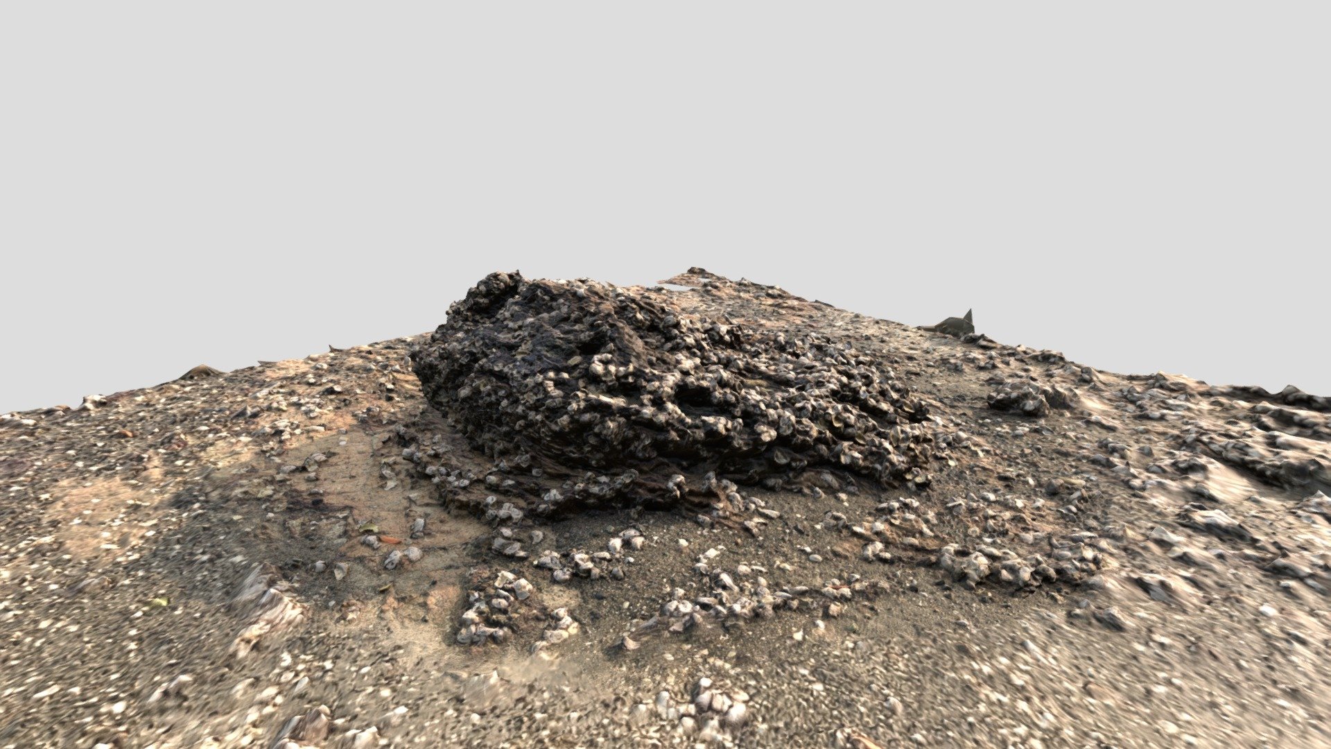 Shore Rock - Download Free 3D model by peter.allely [c95850f] - Sketchfab