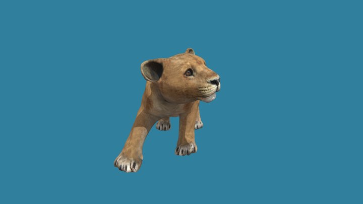 Lion 3D models - Sketchfab