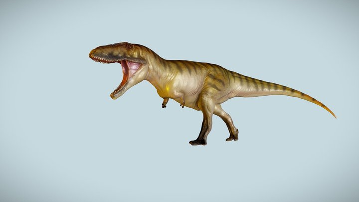 Carcharodontosaurus 3D models - Sketchfab