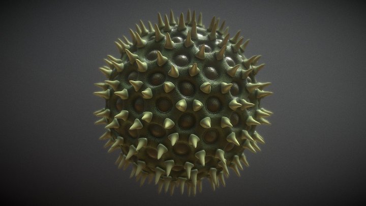Pollentier 3D models - Sketchfab