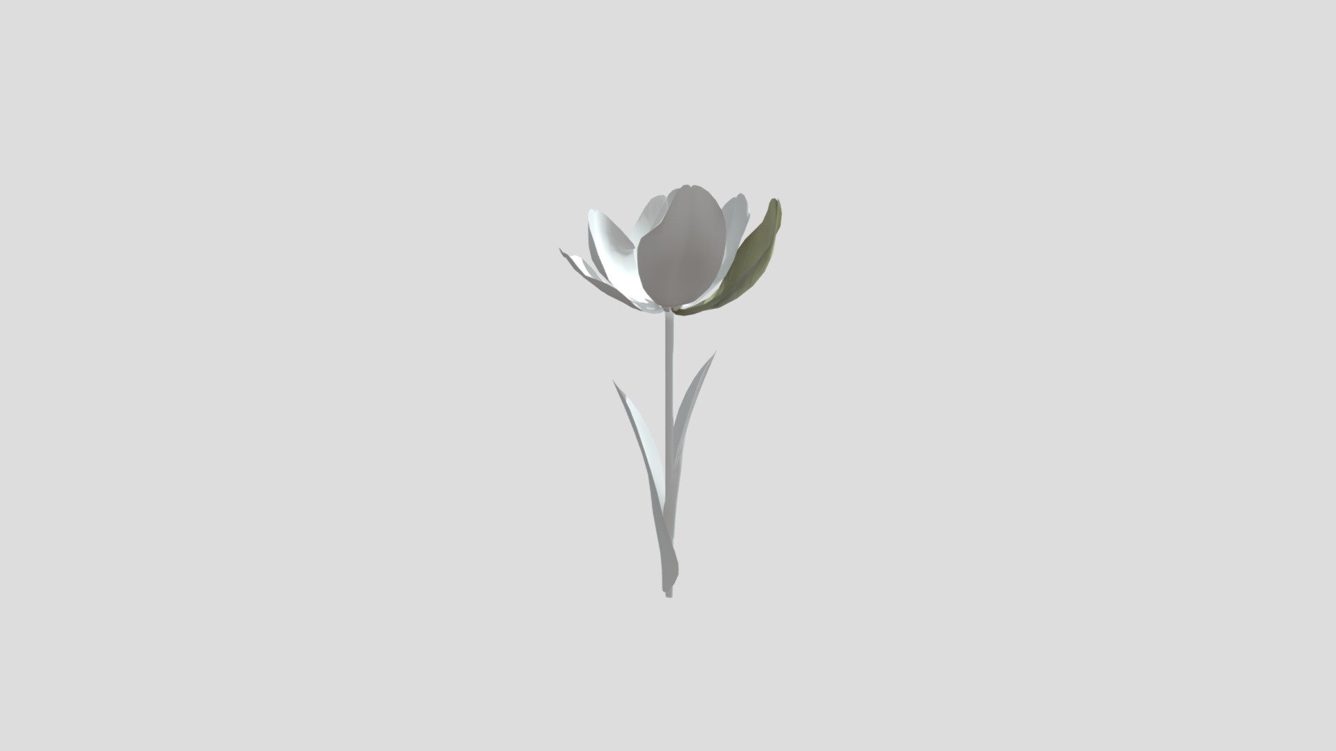 tulip_animated_6 - 3D model by raquelnavape [c9694f8] - Sketchfab