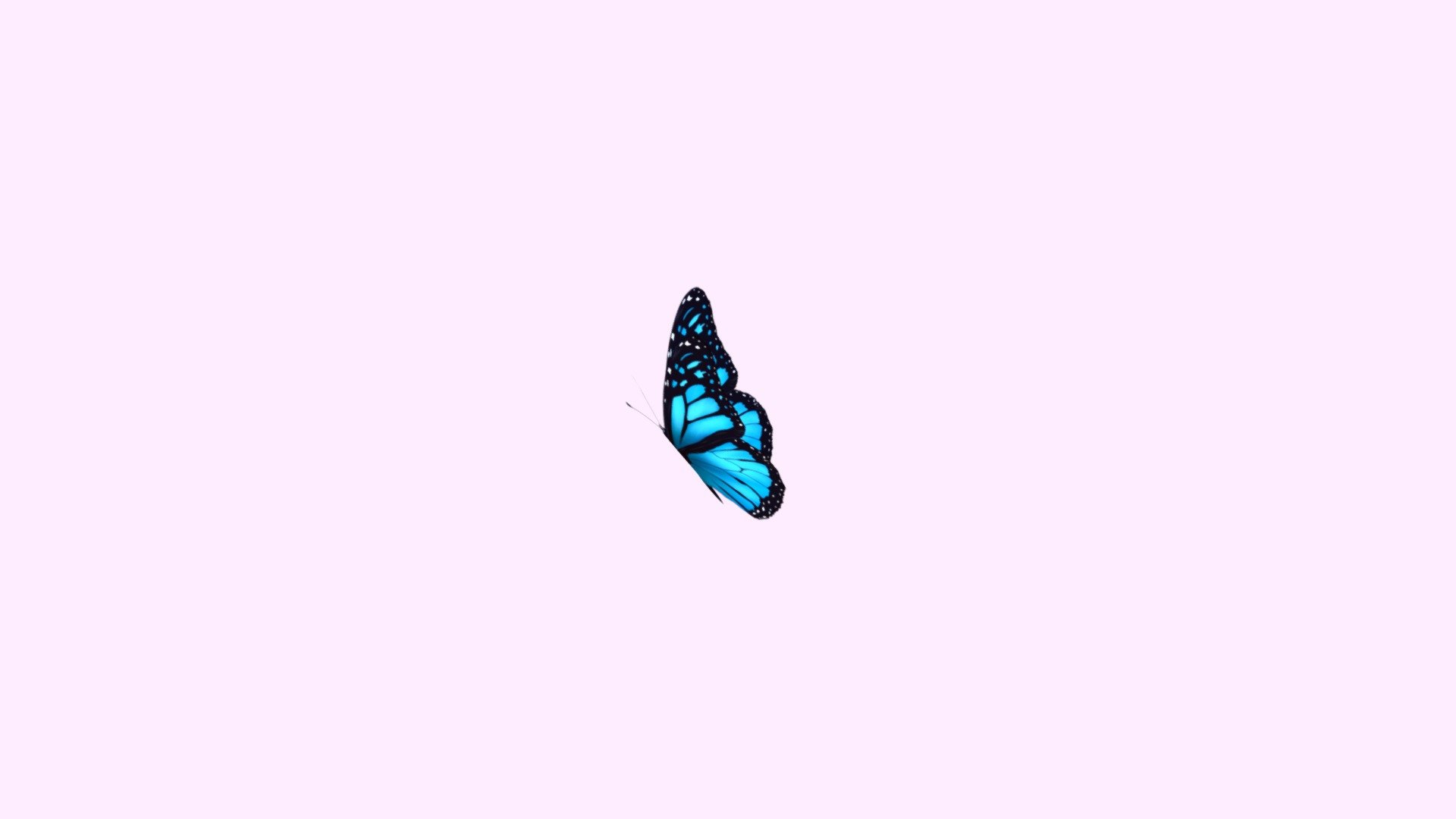 Animated Butterfly - Buy Royalty Free 3D model by SophieSchenk [c96de7d ...