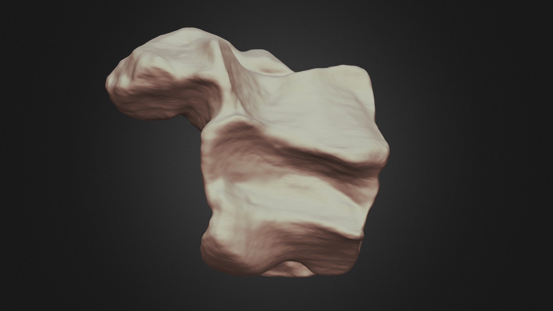 Ursus americanus Left Scaphoid - 3D model by Lakehead Anthropology ...