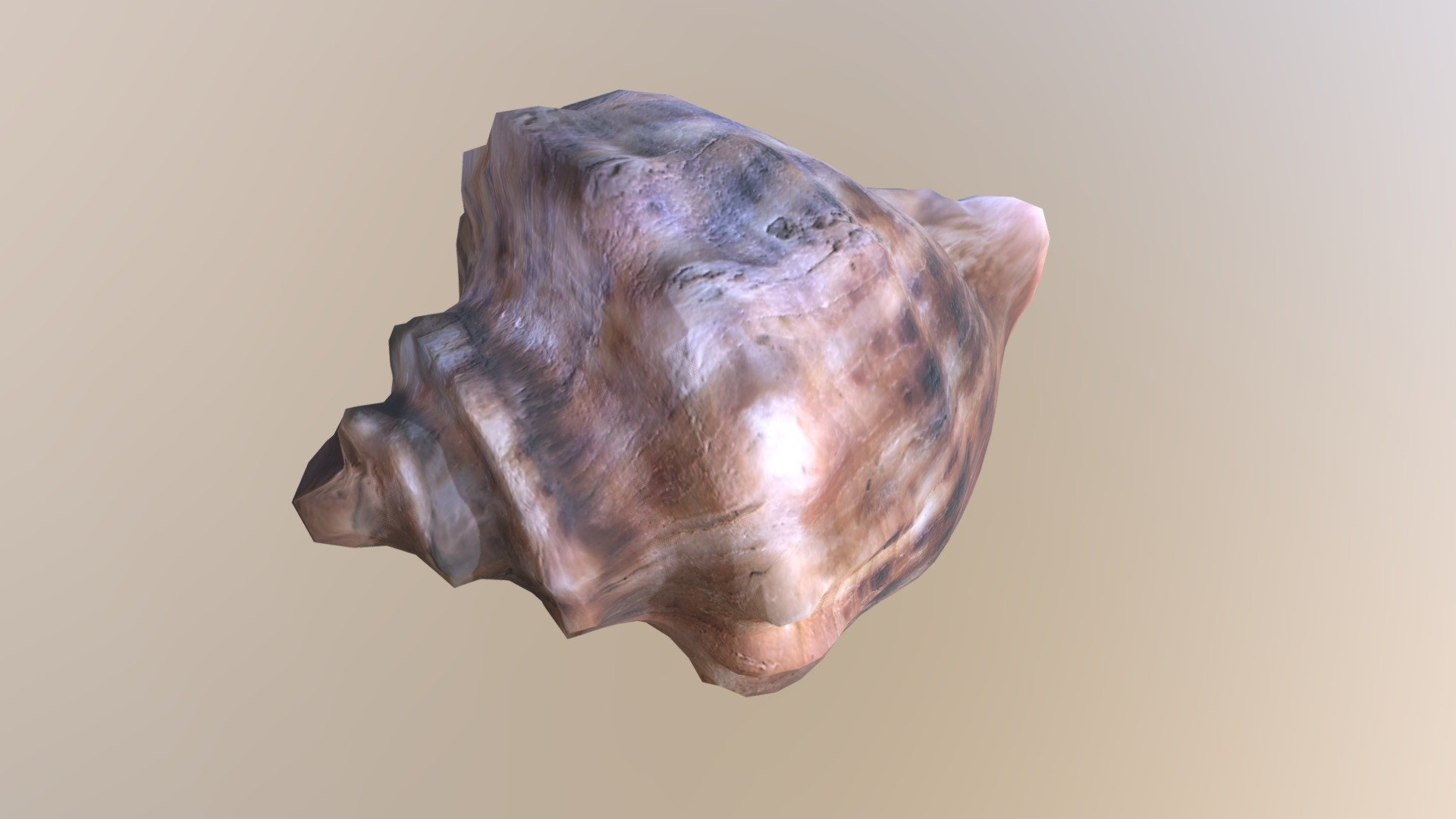 Seashell2-LODs - 3D model by atti1234 [c973854] - Sketchfab