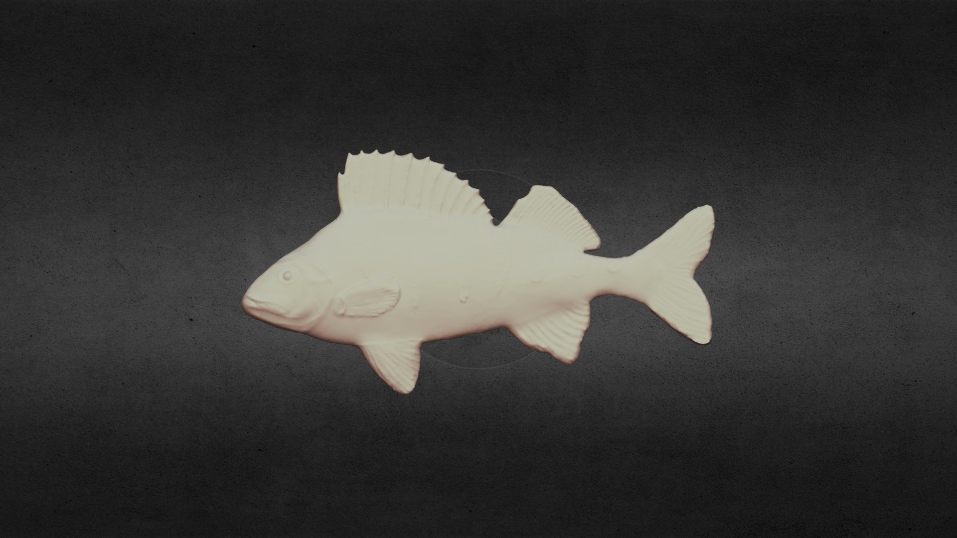 Bass / Barsch 3d relief - Download Free 3D model by runescapeyttanic ...