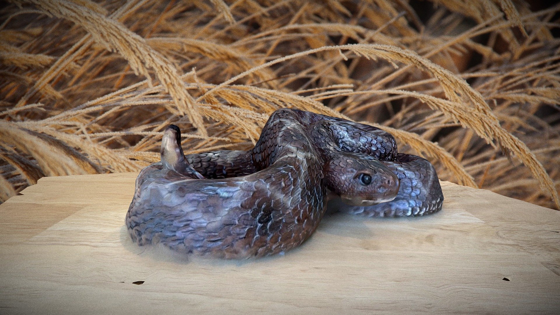 The Rattler - Download Free 3D model by dronepros [c981c7b] - Sketchfab