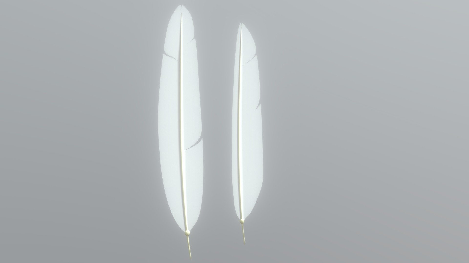 Feathers - Download Free 3D model by victorberdugo1 [c987c56] - Sketchfab