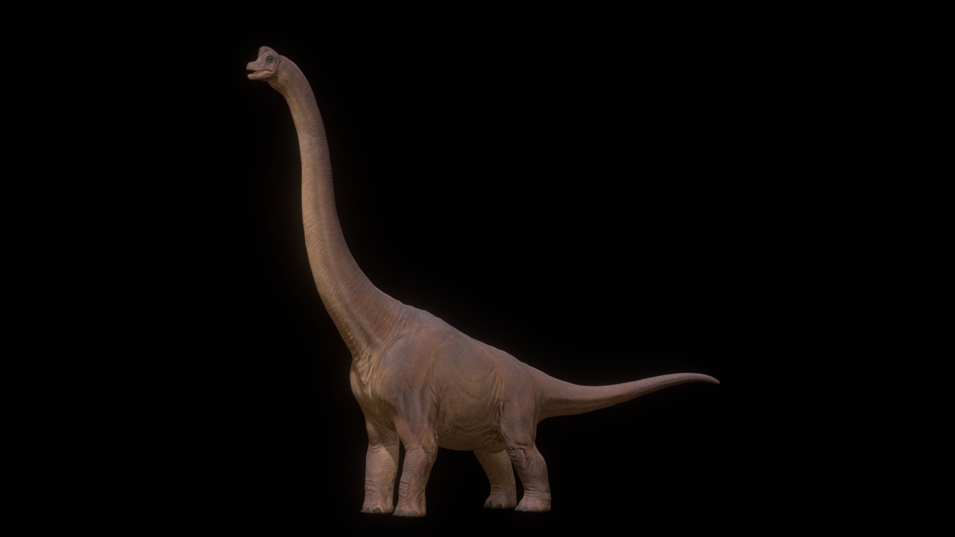 Brachiosaurus altithorax - Download Free 3D model by DanielWalsh ...