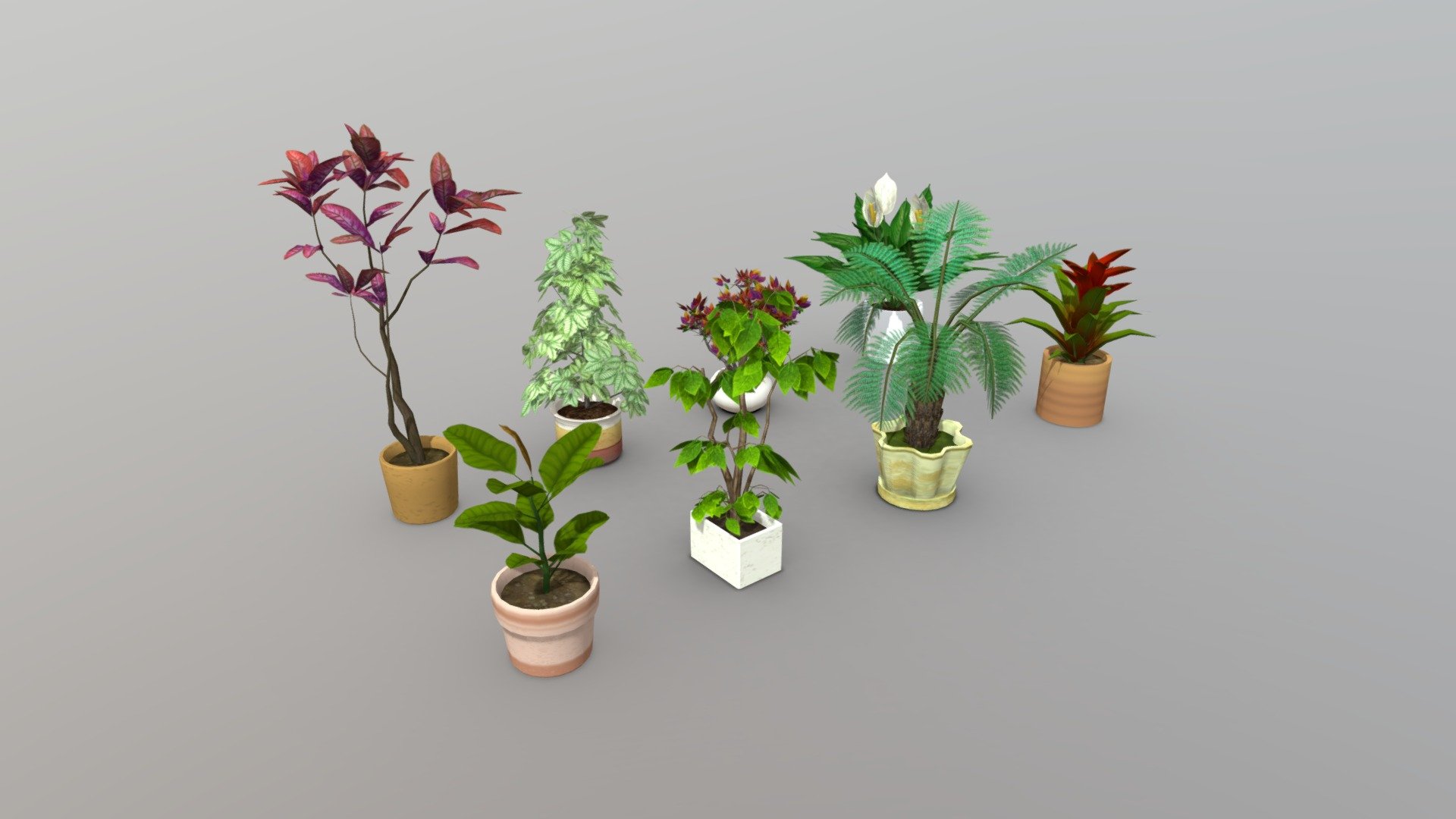 Lowpoly Indoor Potted Plant - Buy Royalty Free 3D model by Dzung Dinh ...