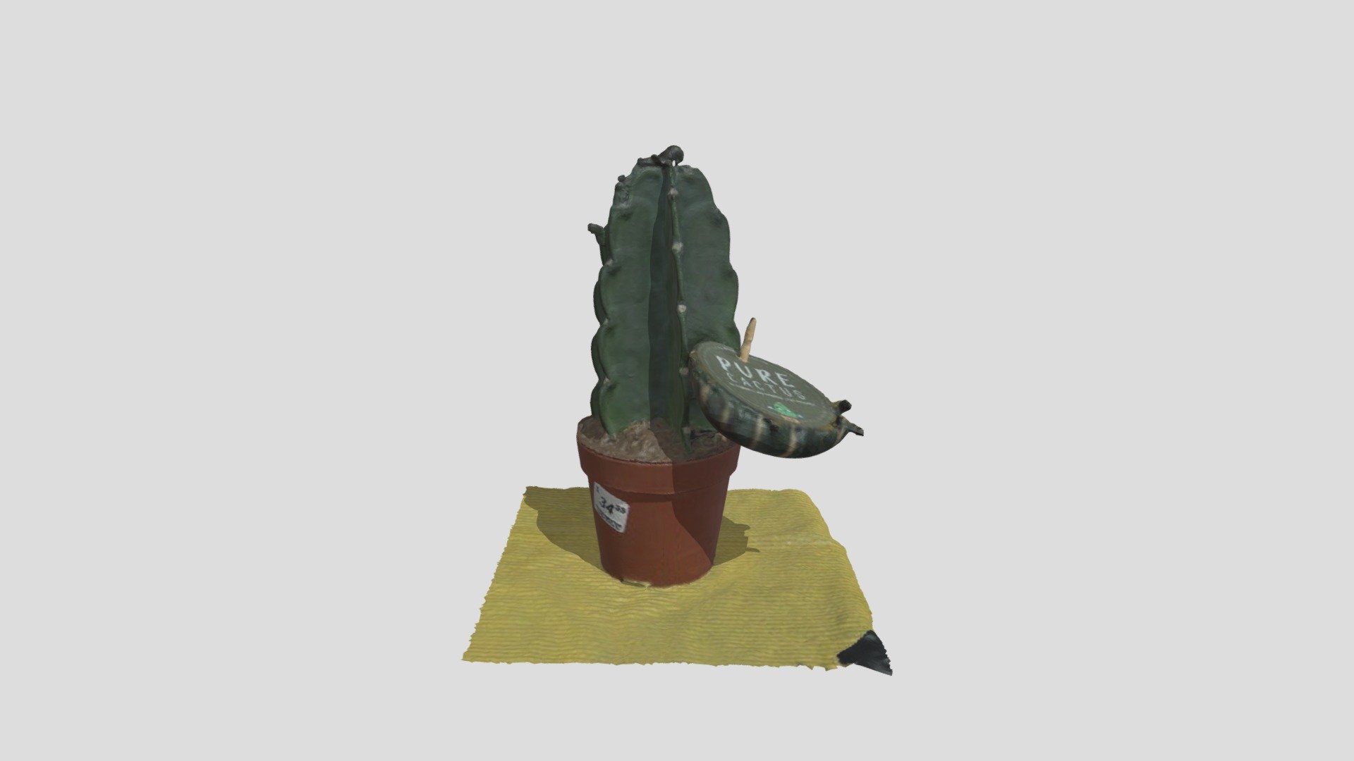 Cactus - 3D model by Georgian College [c995c4b] - Sketchfab
