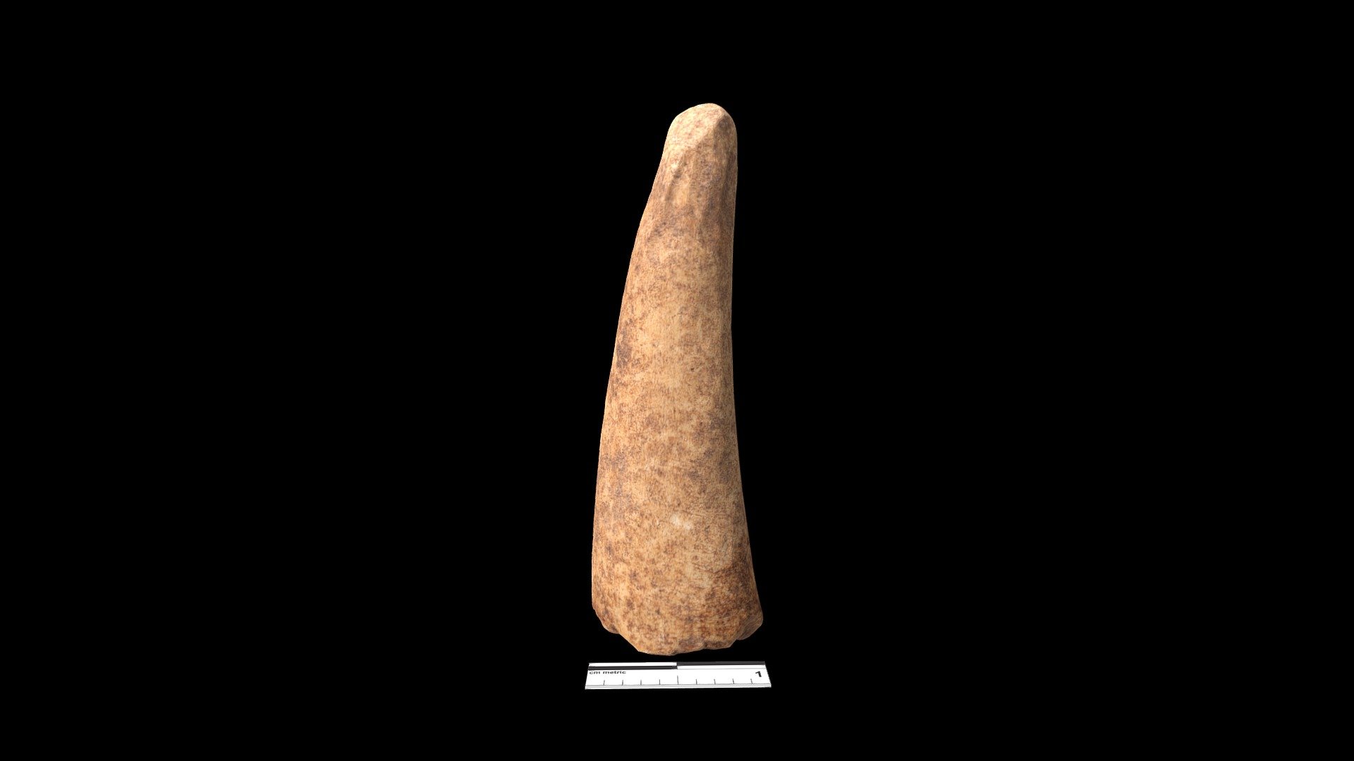 Antler Projectile Point - 3D model by danderson4 [c996441] - Sketchfab