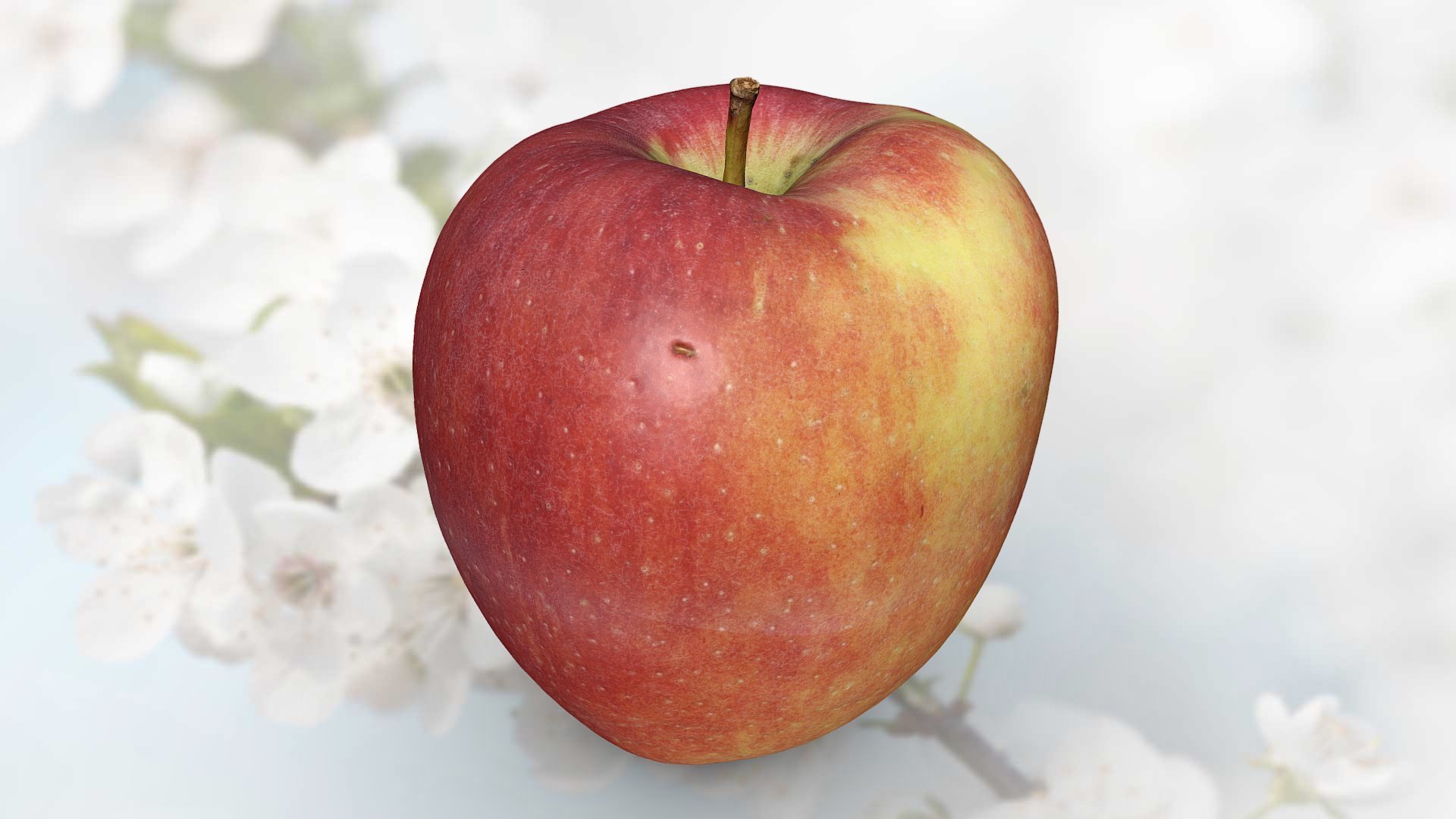 Braeburn - Apfel - Download Free 3D model by noe-3d.at (@www.noe-3d.at ...