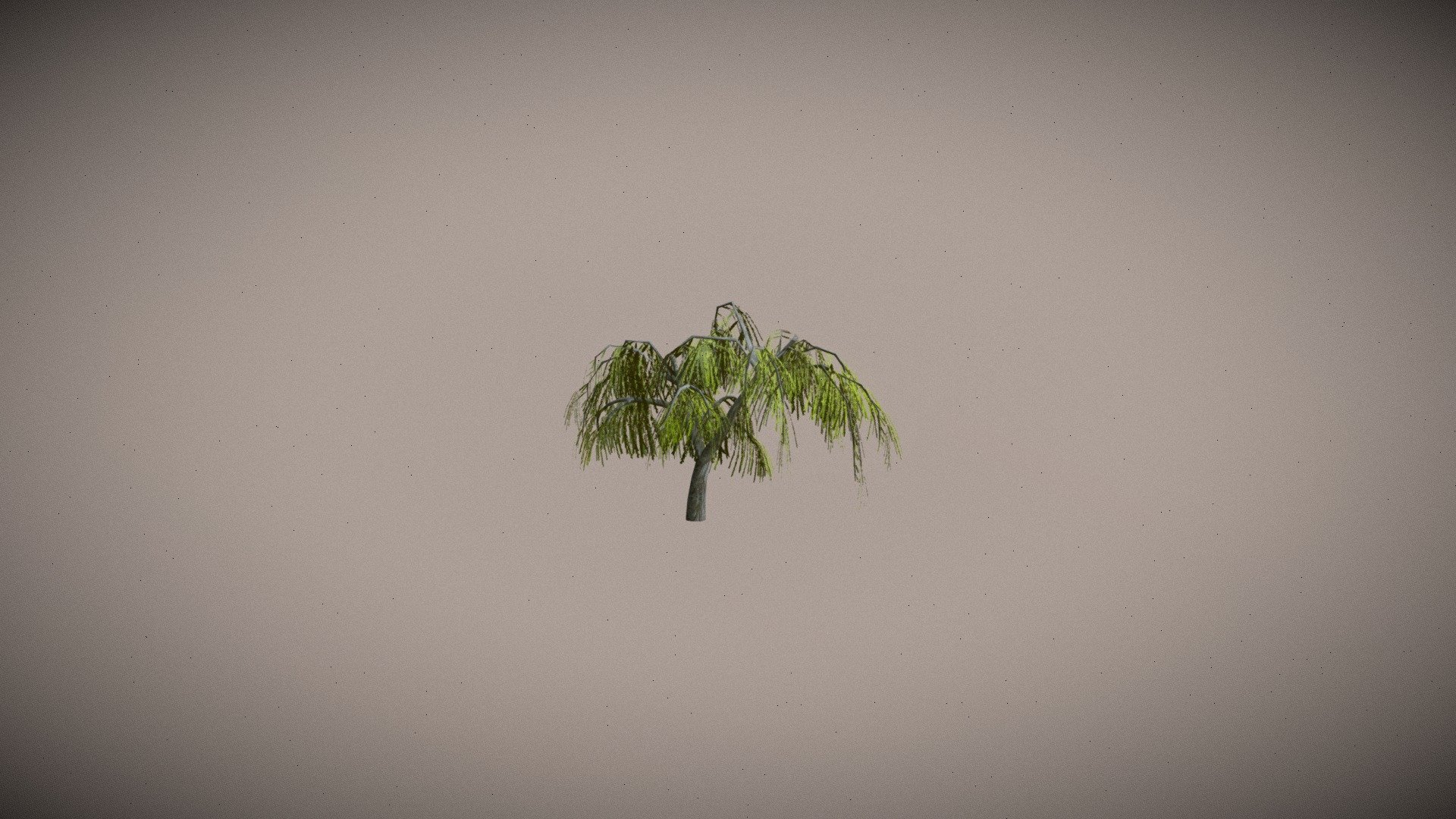 Willow Tree - Download Free 3D model by ravenwits (@rawarg) [c9a70e8] - Sketchfab