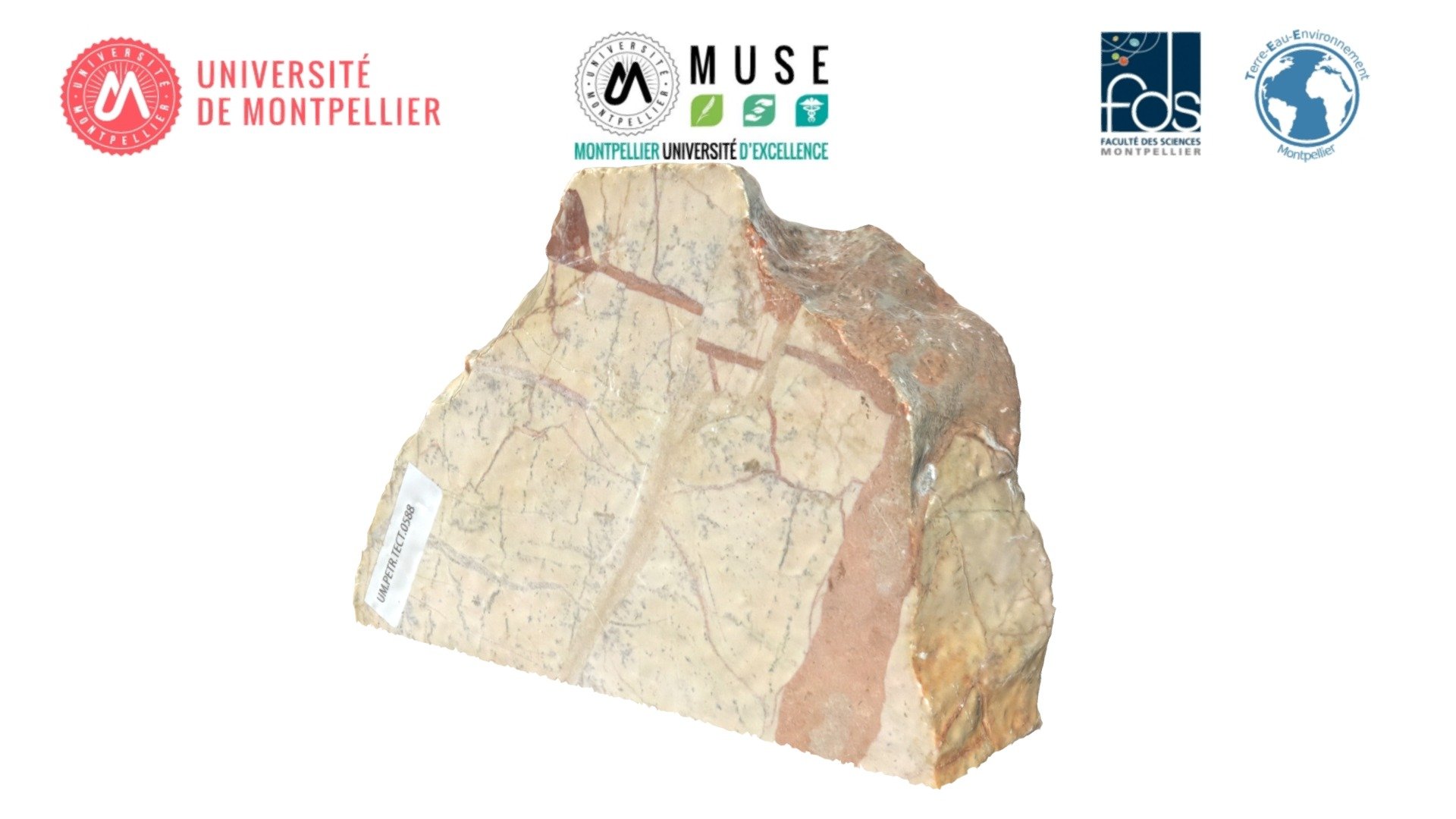 Proximal fault damage zone- n°0588 - 3D model by Université Montpellier ...