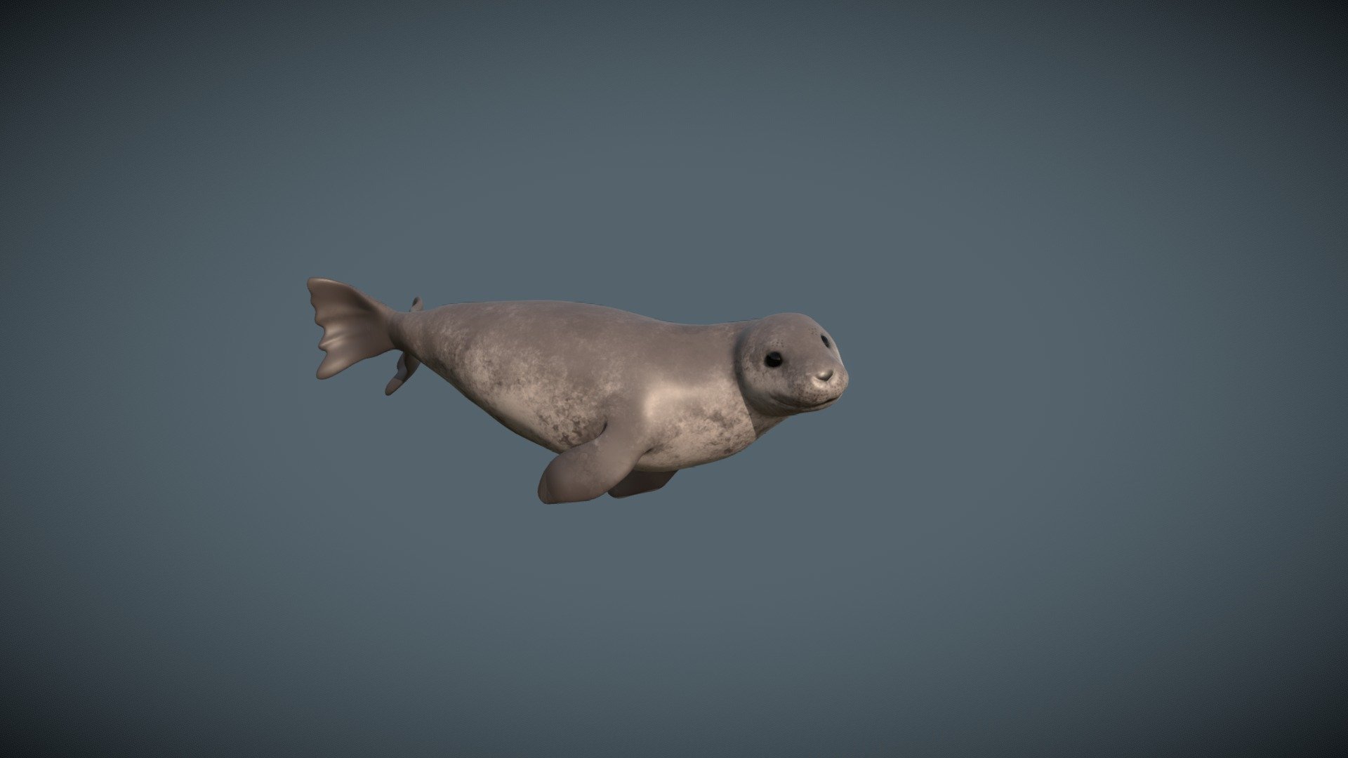 Seal - 3D model by Shania (@SP_creates) [c9b2a5f] - Sketchfab